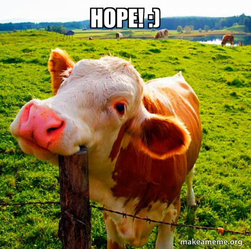 Hope! :) Meme Generator