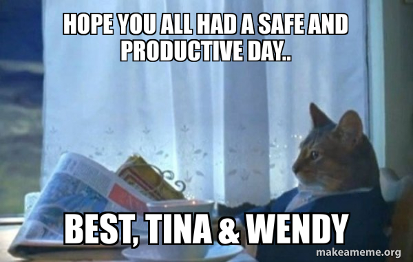 Tina Cat Memes Tina Caring Hearts Cat Rescue And Sanctuary