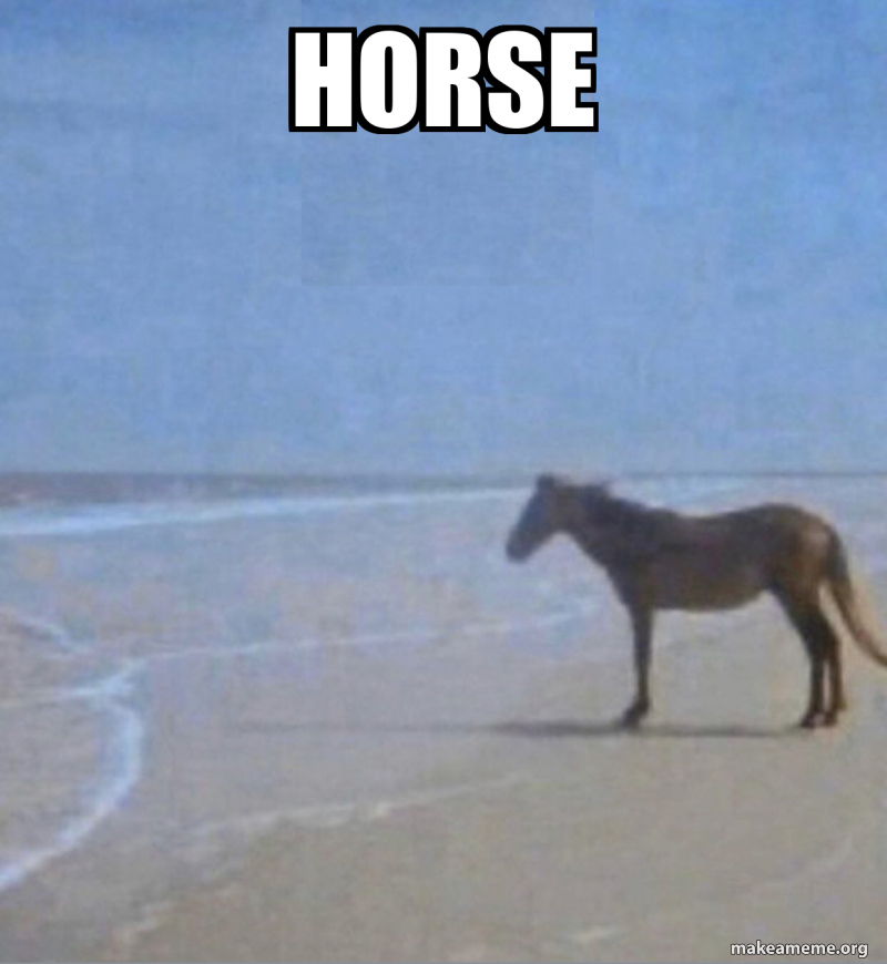 horse Meme Generator