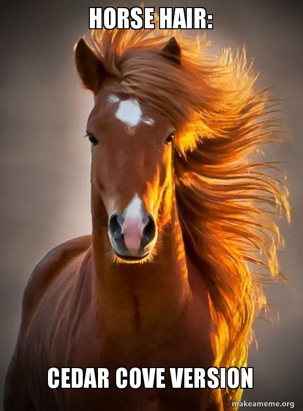 Horse hair: Cedar Cove version - Ridiculously photogenic horse Meme ...