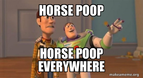 Horse Poop Memes Naughty Boy! #stallion #poop #poo #horsepoop #horse