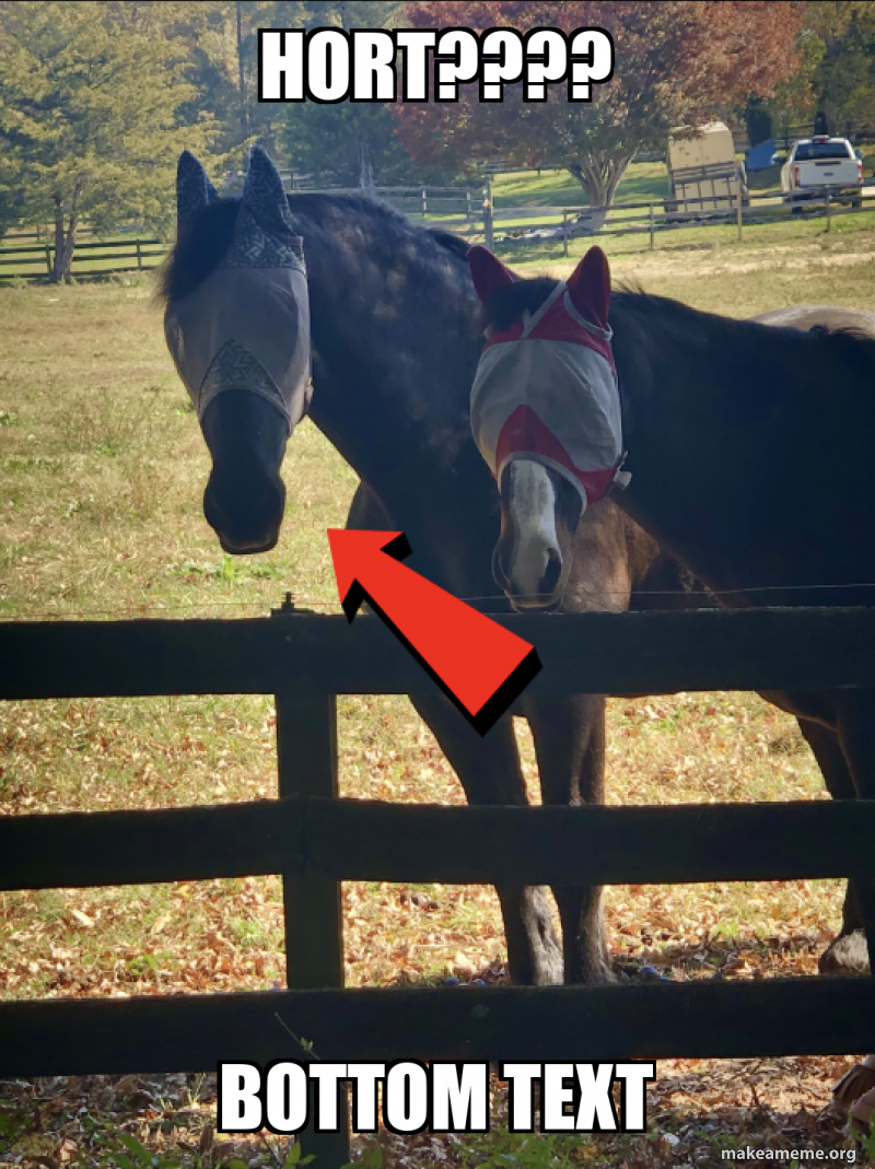 HORT???? BOTTOM TEXT Meme Generator