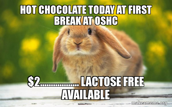 Hot Chocolate today at first break at OSHC $2.................. lactose ...