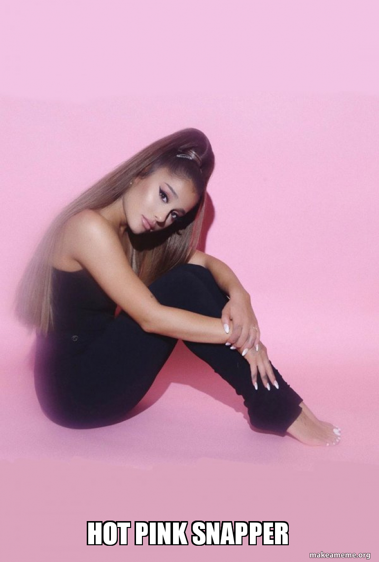hot pink snapper - Ariana Grande Meme Generator