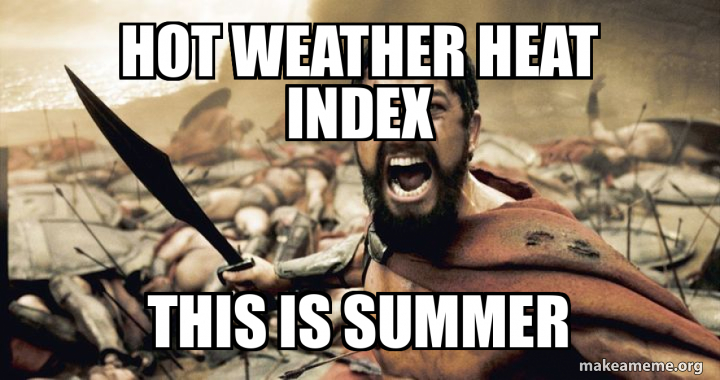 hot weather heat index this is summer Meme Generator