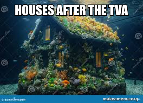 Houses after the tva Meme Generator