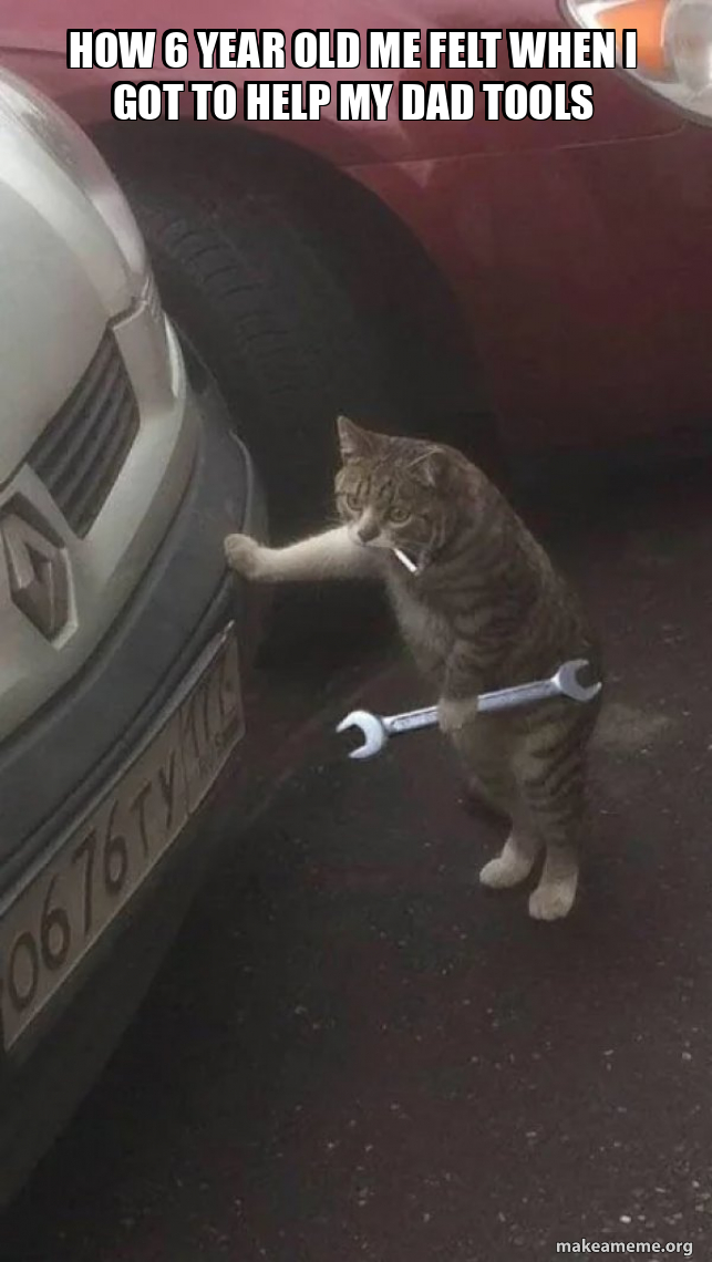 how 6 year old me felt when I got to help my dad tools - Mechanic Cat ...