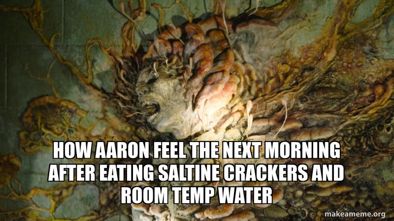 HOW AARON FEEL THE NEXT MORNING AFTER EATING SALTINE CRACKERS AND ROOM ...