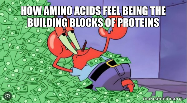 How amino acids feel being the building blocks of proteins - Mr Krabs ...