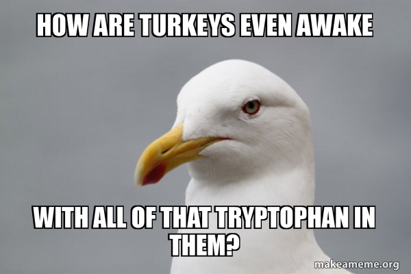 Tryptophan Memes Tryptophan