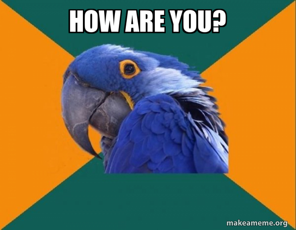 How are you? - Paranoid Parrot Meme Generator