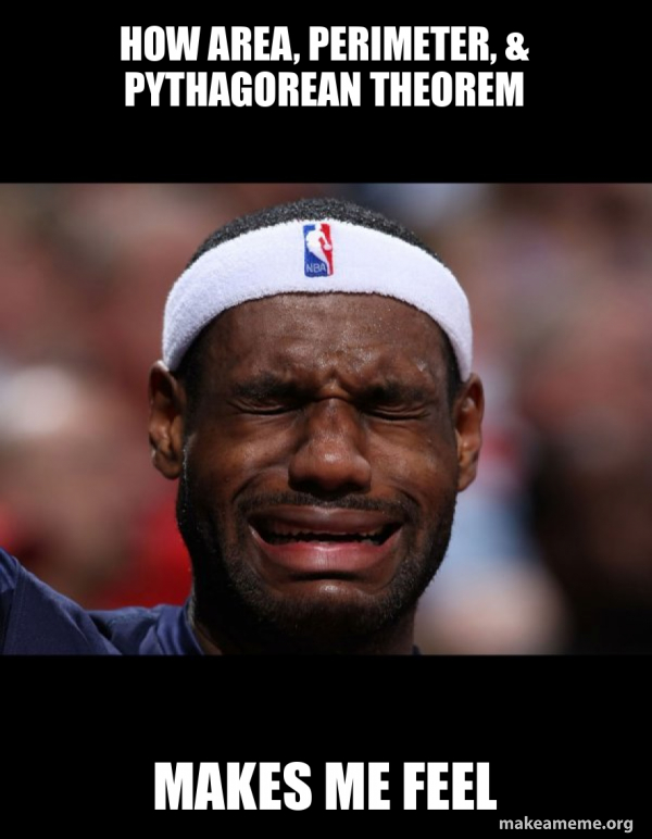 How Area, Perimeter, & Pythagorean Theorem Makes me feel - Lebron ...