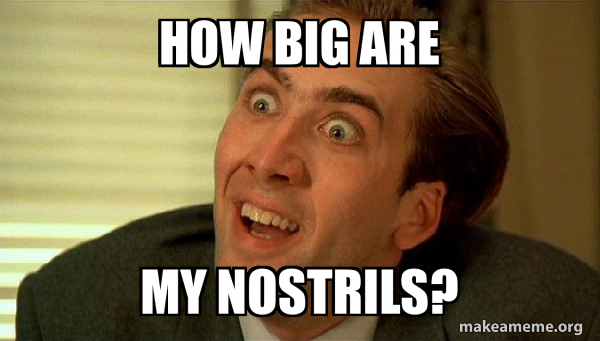 How big are My nostrils? - Sarcastic Nicholas Cage Meme Generator