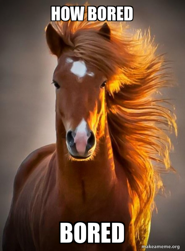 How Bored Bored - Ridiculously photogenic horse Meme Generator