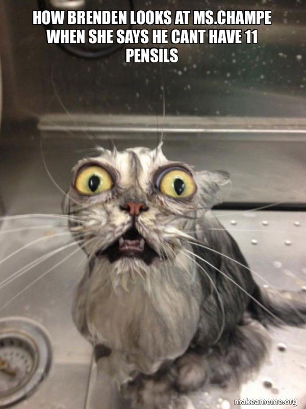 how brenden looks at ms.champe when she says he cant have 11 pensils ...