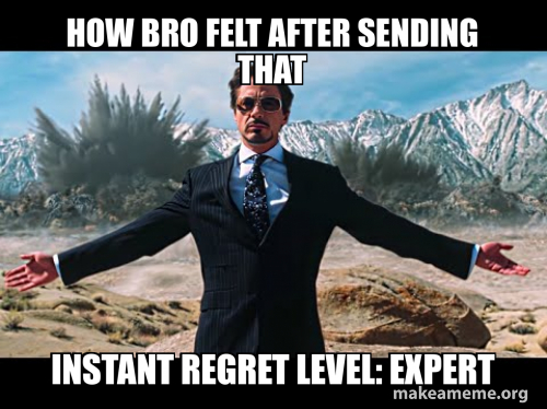 How bro felt after sending that Instant regret level: expert Meme Generator