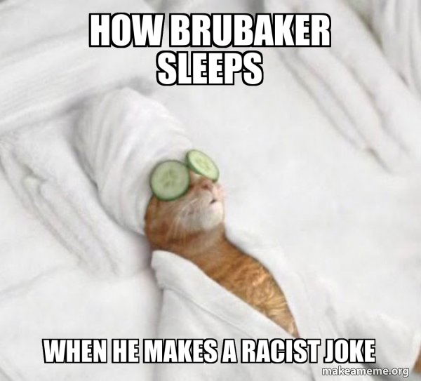 How Brubaker sleeps When he makes a racist joke - Pampered Cat Meme ...