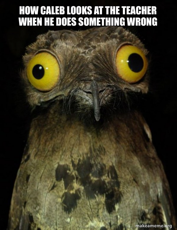 How caleb looks at the teacher when he does something wrong - Weird ...