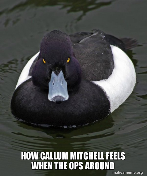 how Callum Mitchell feels when the ops around - Revenge Duck ( Angry ...