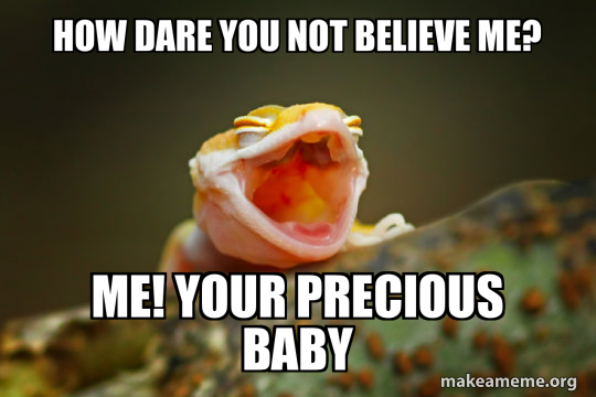 How dare you not believe Me? Me! Your precious baby Meme Generator