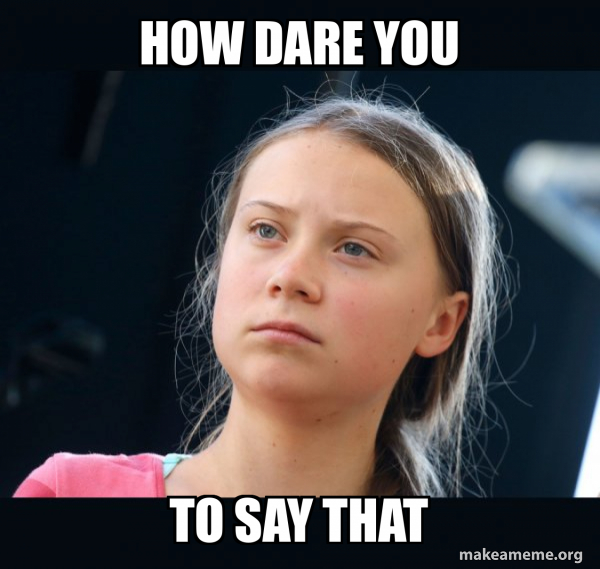 HOW DARE YOU TO SAY THAT - Greta Thunberg Meme Generator