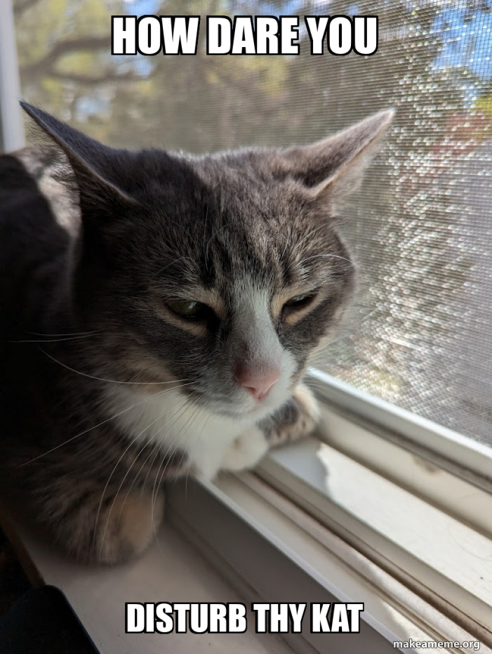HOW DARE YOu Disturb thy kat - KAT Meme Generator