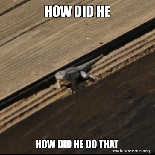how did he how did he do that Meme Generator