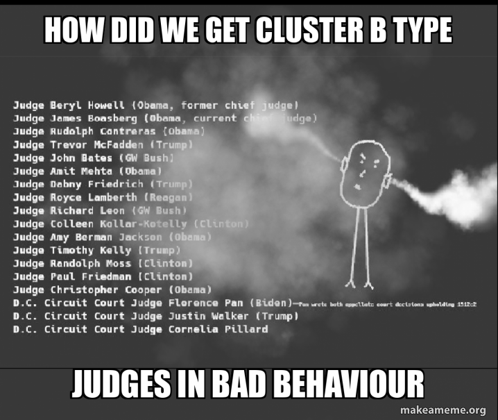 HOW DID WE GET CLUSTER B TYPE JUDGES IN BAD BEHAVIOUR Meme Generator