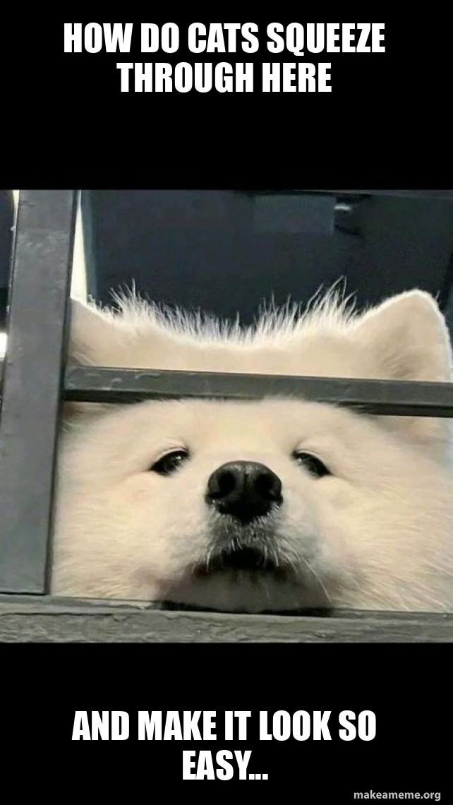 how do cats squeeze through here and make it look so easy... Meme Generator