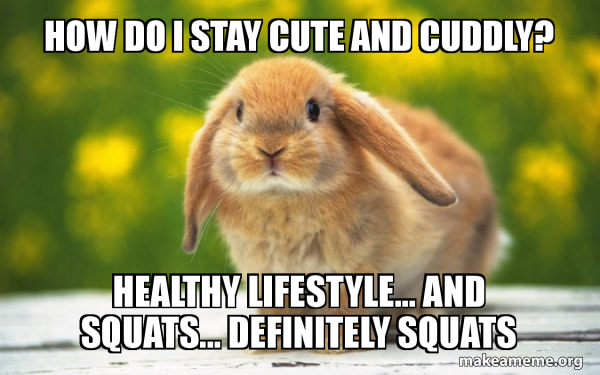 How do I stay cute and cuddly? Healthy lifestyle... and squats ...