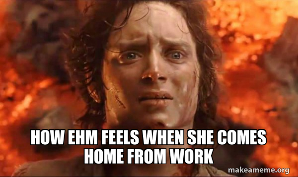 How ehm feels when she comes home from work - Frodo it's over it's done ...