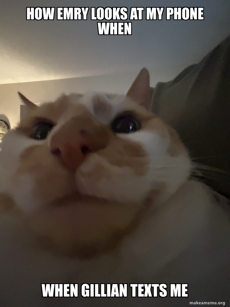 How emry looks at my phone when When gillian texts me Meme Generator