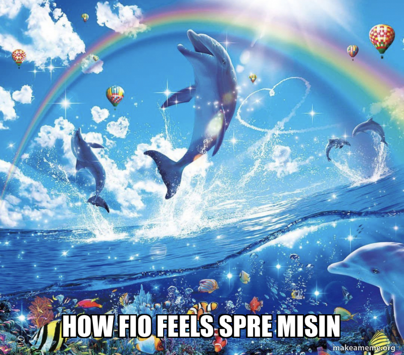 how fio feels spre misin Meme Generator