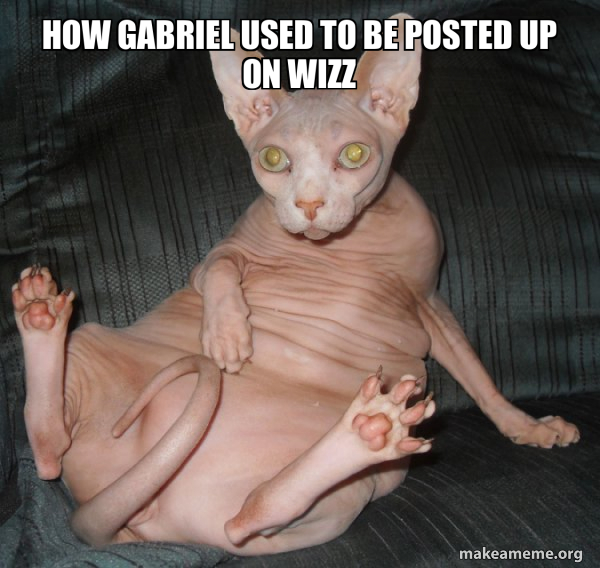 how gabriel used to be posted up on wizz - Hairless Cat Meme Generator