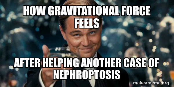 Gravitational Force Memes