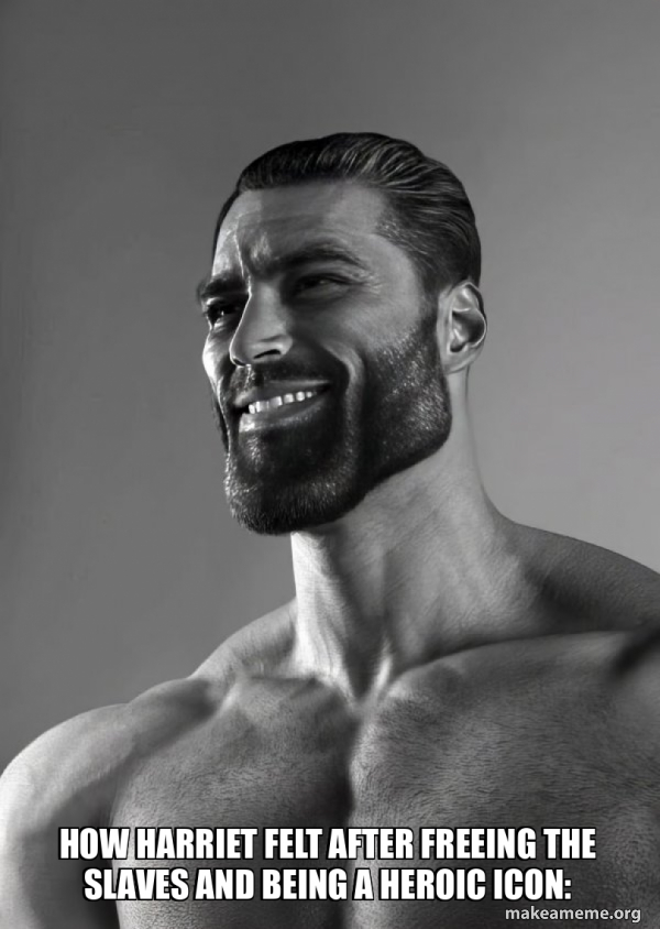 how harriet felt after freeing the slaves and being a heroic icon ...