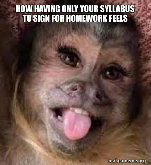 How Having only your syllabus to sign for homework feels Meme Generator