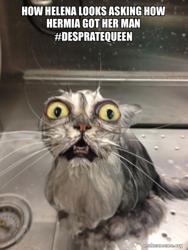 HOW HELENA LOOKS ASKING HOW HERMIA GOT HER MAN #DesprateQueen - Cat ...