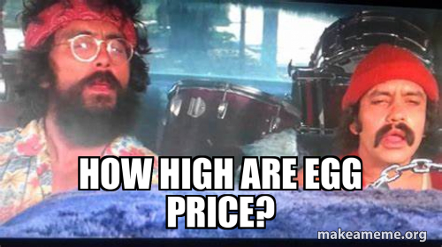 How high are egg price? Meme Generator