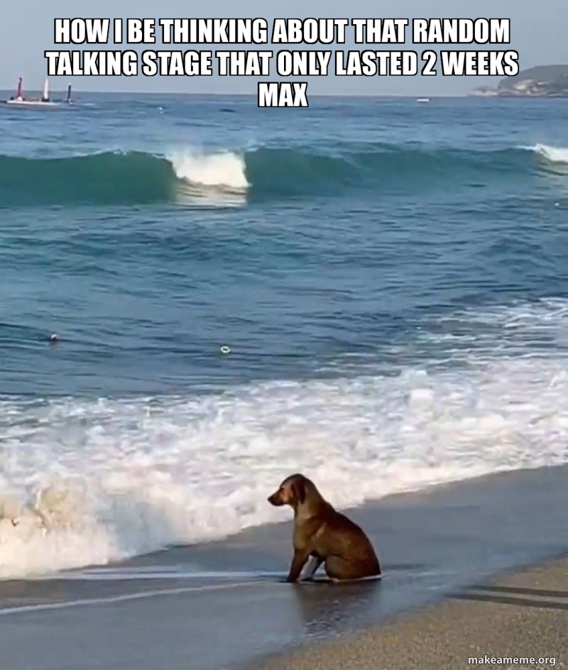 How i be thinking about that random talking stage that only lasted 2 ...