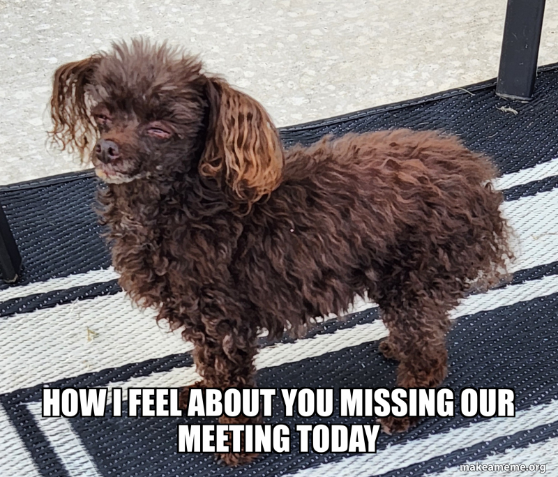 How I feel about you missing our meeting today Meme Generator