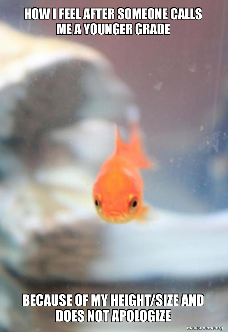 how i feel after someone calls me a younger grade because of my height/size and does not ...