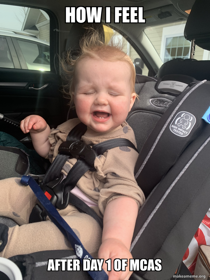 How i feel After day 1 of mcas Meme Generator