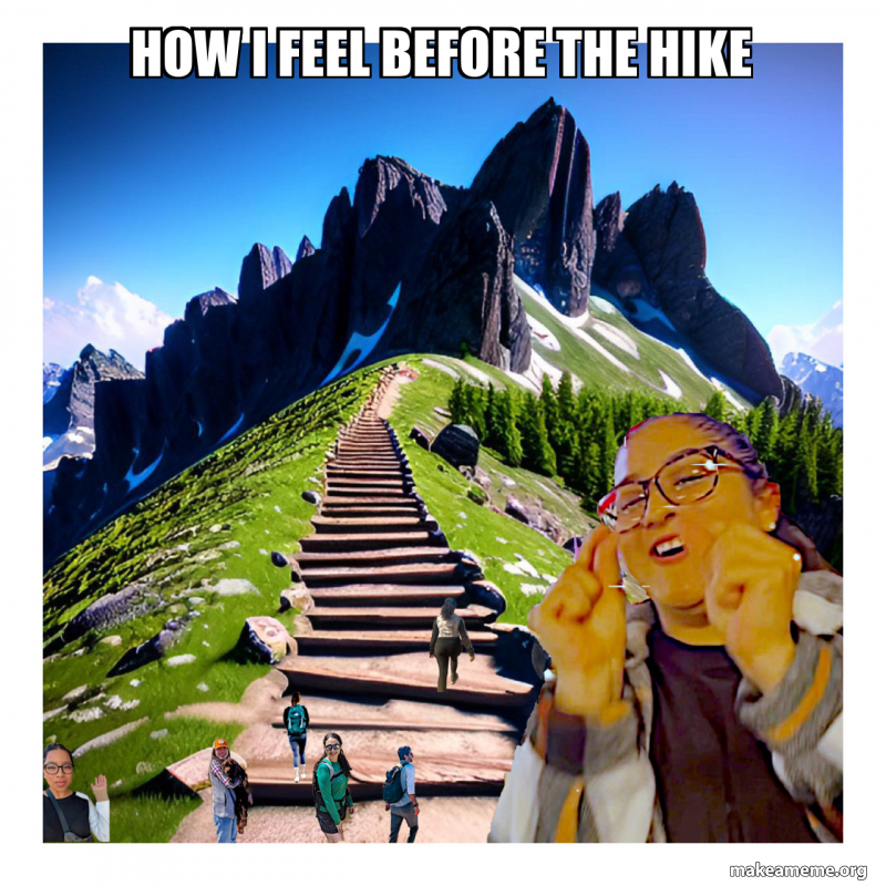 How i feel before the hike Meme Generator