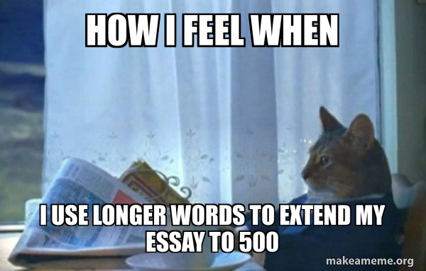How I Feel When I use longer words to extend my essay to 500 ...
