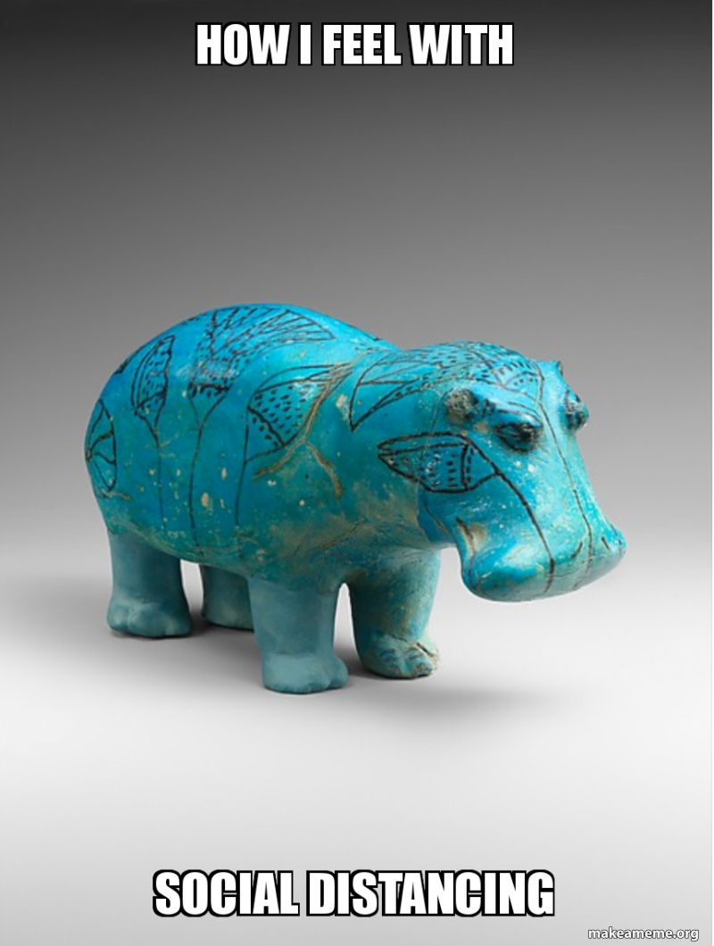 how I feel with social distancing Meme Generator