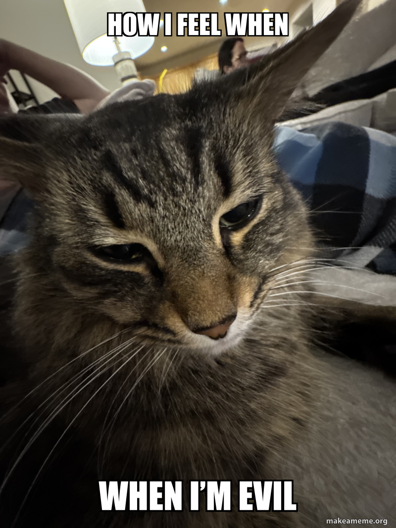 how i feel when when i’m evil Meme Generator
