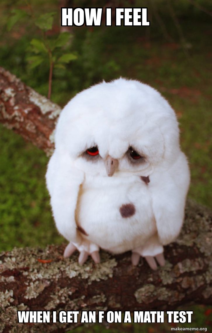 How I feel When I get an F on a math test - Sad Owl Meme Generator