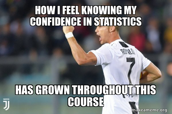 How I feel knowing my confidence in statistics has grown throughout ...