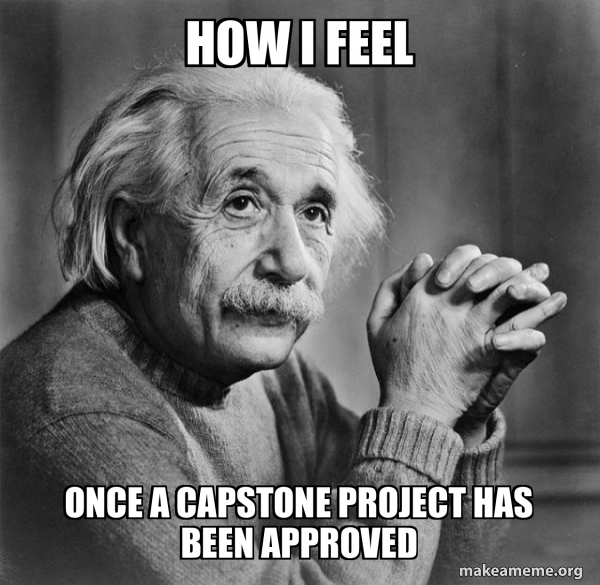 How I Feel Once a Capstone Project has been approved - Serious Albert ...